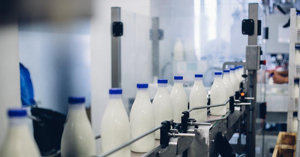 Milk poured away as oversupply issue worsens | News | The Grocer