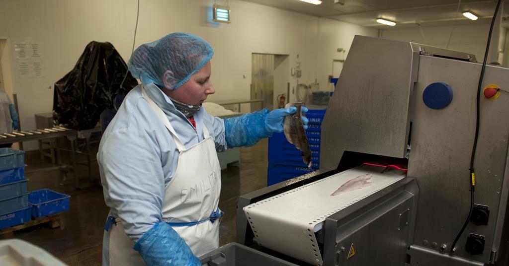 Fish processors criticise UK & Scottish governments over Brexit ...