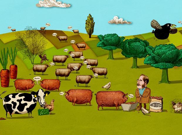 Unsentimental journey | Analysis & Features | The Grocer