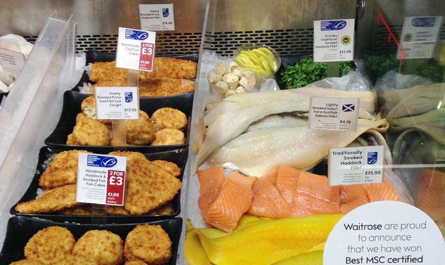 Fresh fish now the fastest-growing protein | News | The Grocer