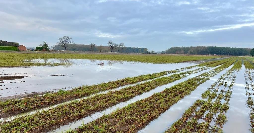 Farmers offered government grants after unprecedented flooding | The Grocer