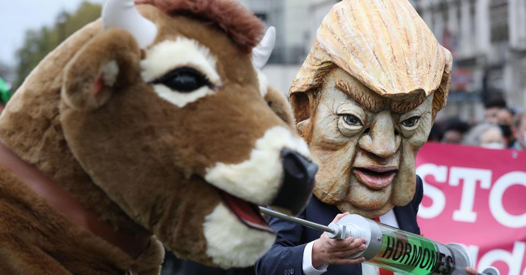 Hormone-treated beef explained: is it a problem or a solution ...