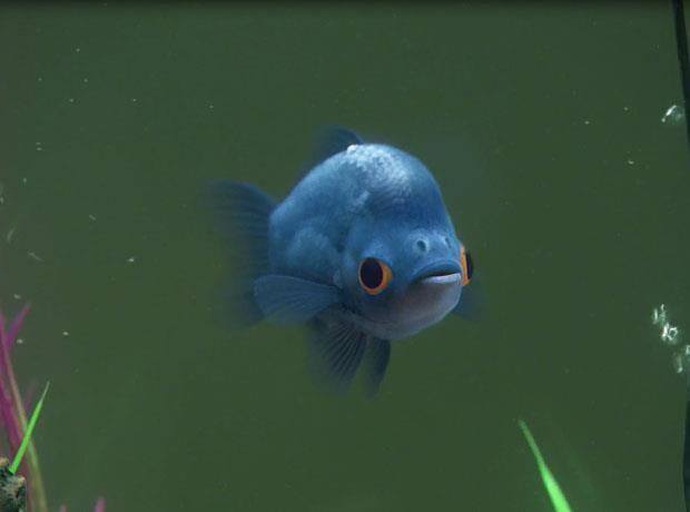 Tesco Blinkbox aims to make a splash with latest campaign | News | The ...