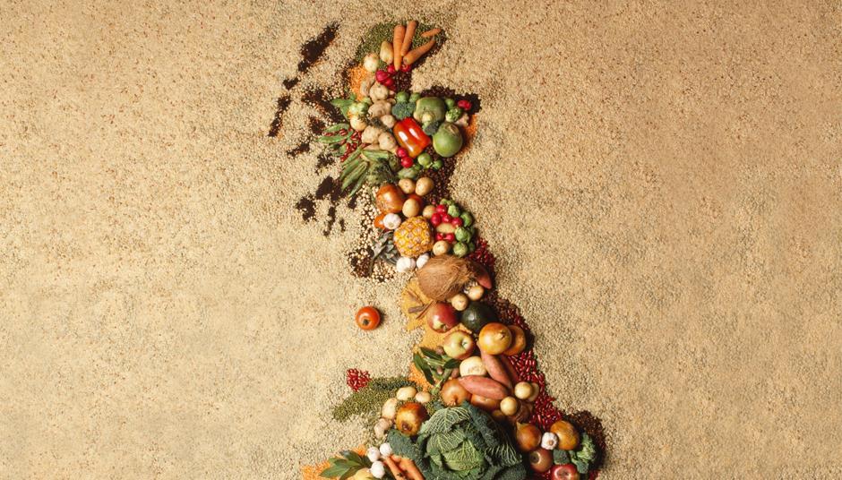 Vegan nation: the rise of veganism | Analysis & Features | The Grocer