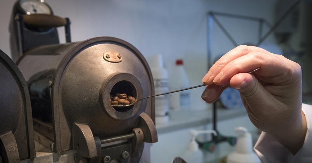 ‘Once in a lifetime’ discovery could secure future of coffee ...