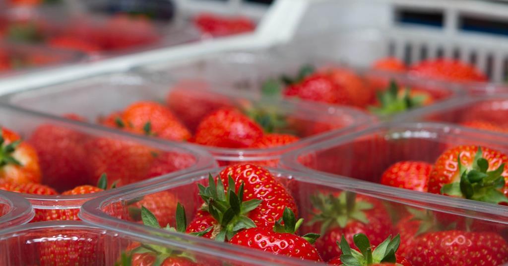 Angus Soft Fruits claims ‘UK first’ with 100% rPET punnets | News | The ...