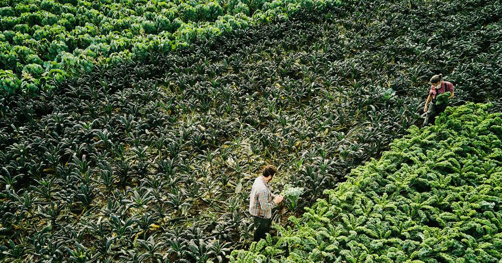 Confusion for seasonal workers due to lack of government guidance ...