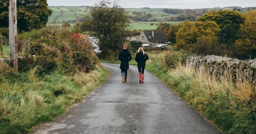 The Estate Dairy: moving milk from commodity to craft | Analysis ...