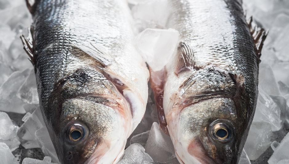 Fish fraud in decline, reveals European study | News | The Grocer