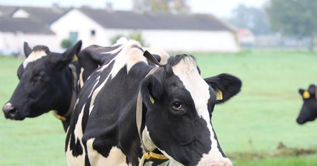 Müller sets new emissions target for farmers in UK | News | The Grocer