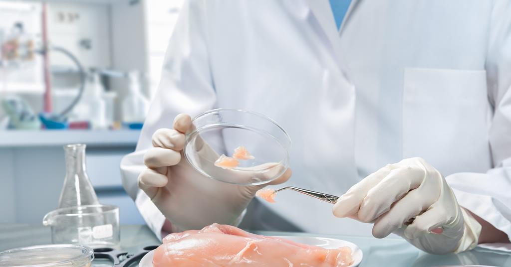 Fast-track testing for lab-grown meat gets backing | The Grocer