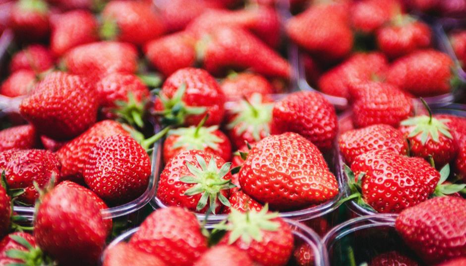 British Berry Growers launches board to ensure future industry ...