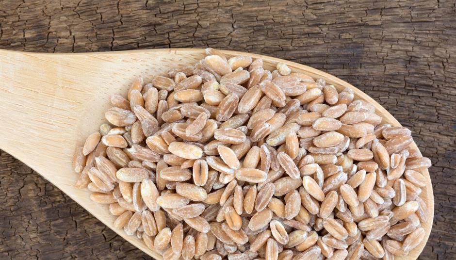 UK cereals 'must get match fit for Brexit' | News | The Grocer