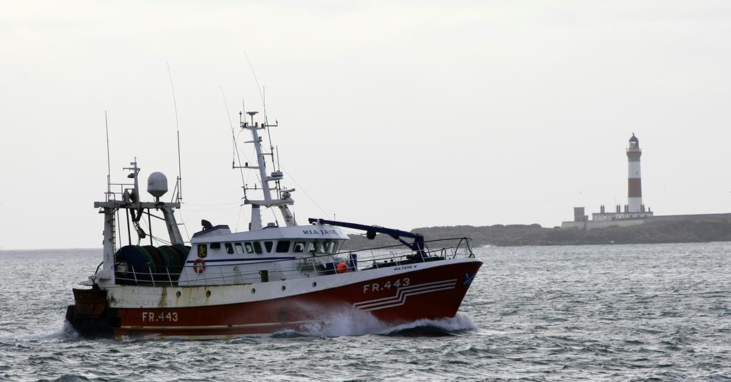Push for North Sea cod to get MSC accreditation | News | The Grocer