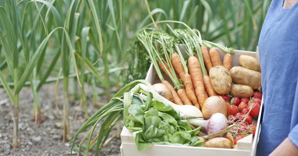 Brexit and climate puts UK self-sufficiency at ‘critical low’ | The Grocer
