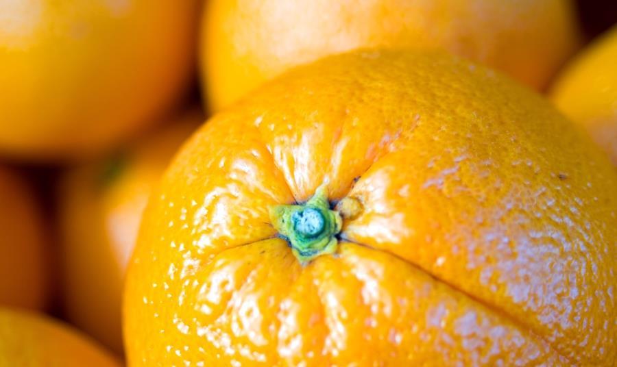 Fruit supplier Jupiter Marketing collapses, leaving almost 100 jobless ...