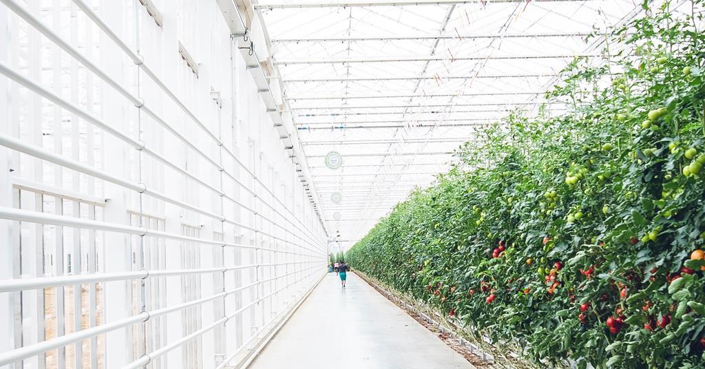 Energy scheme: primary food production ‘overlooked’ for ‘paltry ...