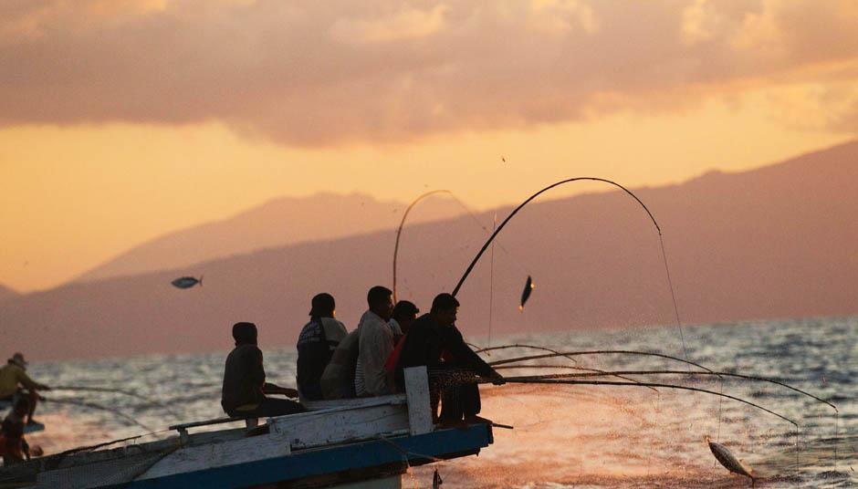 Tuna stocks suffer as arguments about fishing methods rage | Comment ...