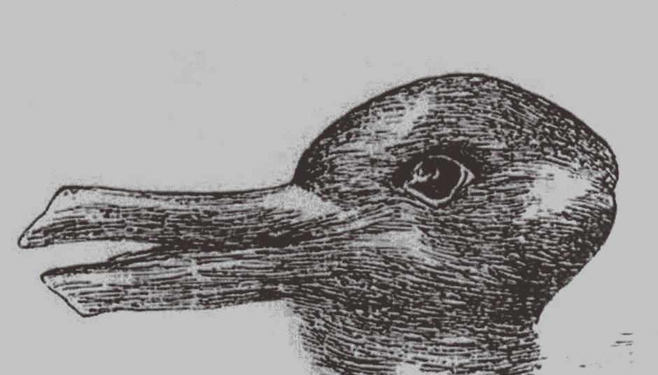 Duck or rabbit? Jastrow dishes up perception-changing bite | Comment ...