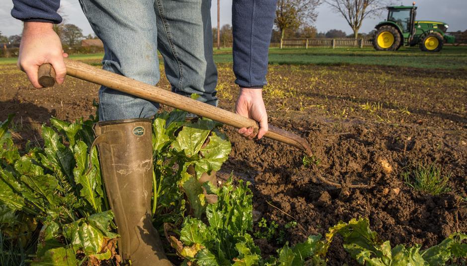 Affinitus streamlines fresh production with new software | News | The ...