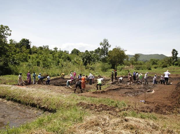 In pictures: Digging for good in Kenya | News | The Grocer