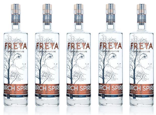 Freya Birch Spirit kicks off £750k funding drive to boost expansion ...