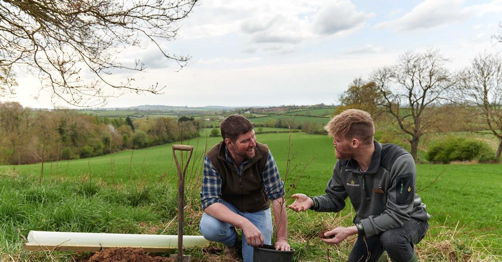 Morrisons employs tree advisors to help UK farms meet planting targets ...