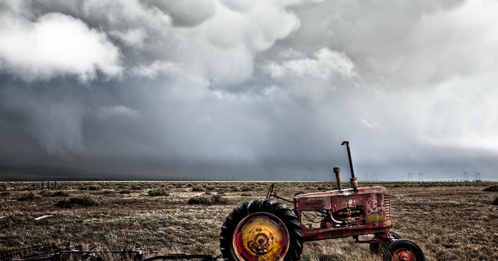 Meat & poultry trends 2024: Does Red Tractor need a jump-start? | The ...