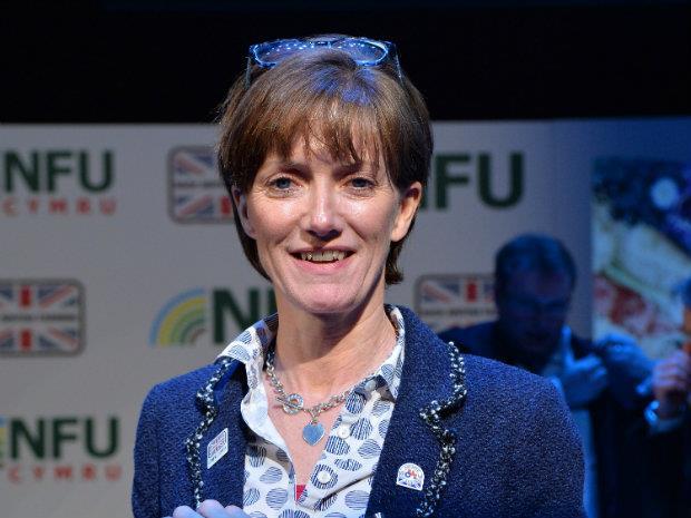 Ali Capper to lead English Apples & Pears as executive chair | News ...