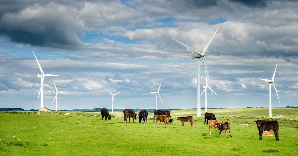 Defra unveils 'improved' Sustainable Farming Incentive | The Grocer