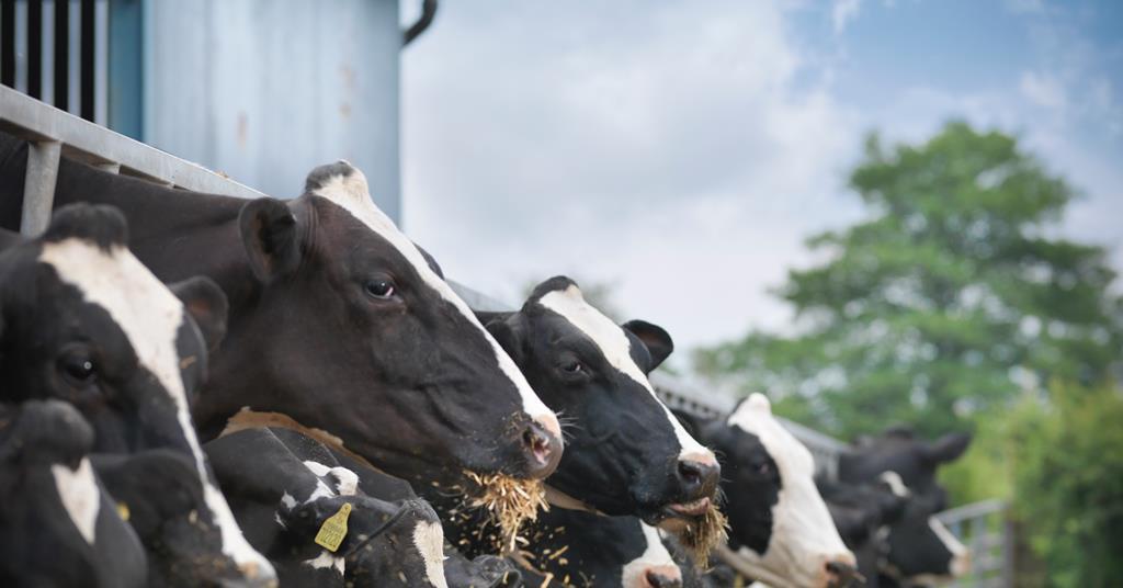 RSPCA Assured plays down ‘welfare washing’ accusations and ramps up ...