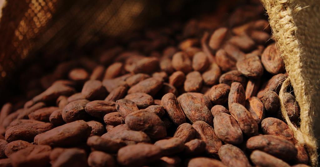 Why responsibly-sourced cocoa should remain top of the agenda for the ...