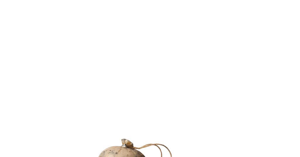 Macsween launches vegan haggis into the US | News | The Grocer