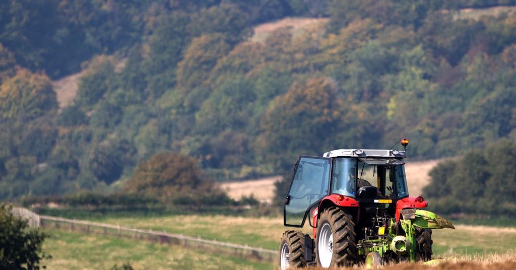 Leaf unveils latest Leaf Marque Standard for more sustainable farming ...