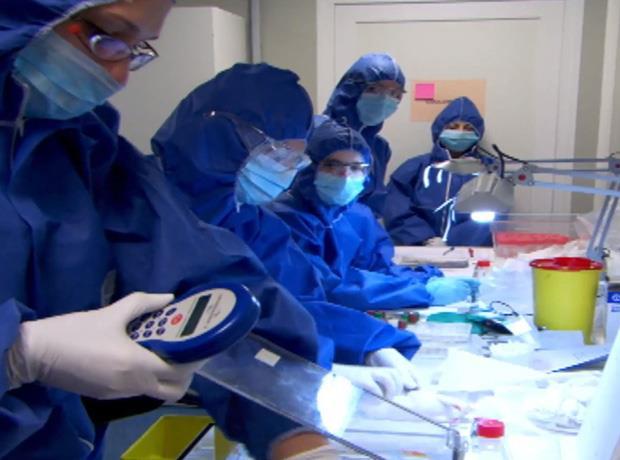 Experts discuss the findings of the Roundup/GM cancer trial | News ...