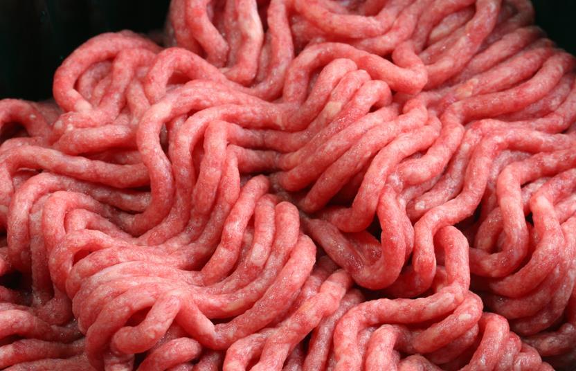 Horse meat: Food Standards Agency ramps up horse DNA tests to 514 ...