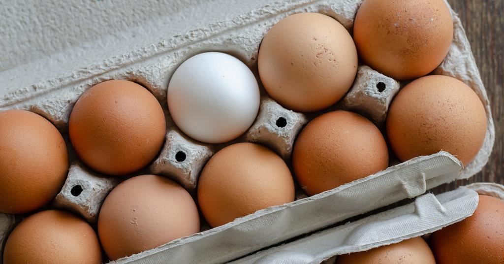 Global cage-free egg progress increasing, new report reveals | News ...