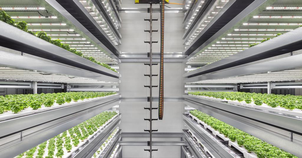 Infarm to launch ‘one of Europe’s biggest’ vertical farms in Bedford ...
