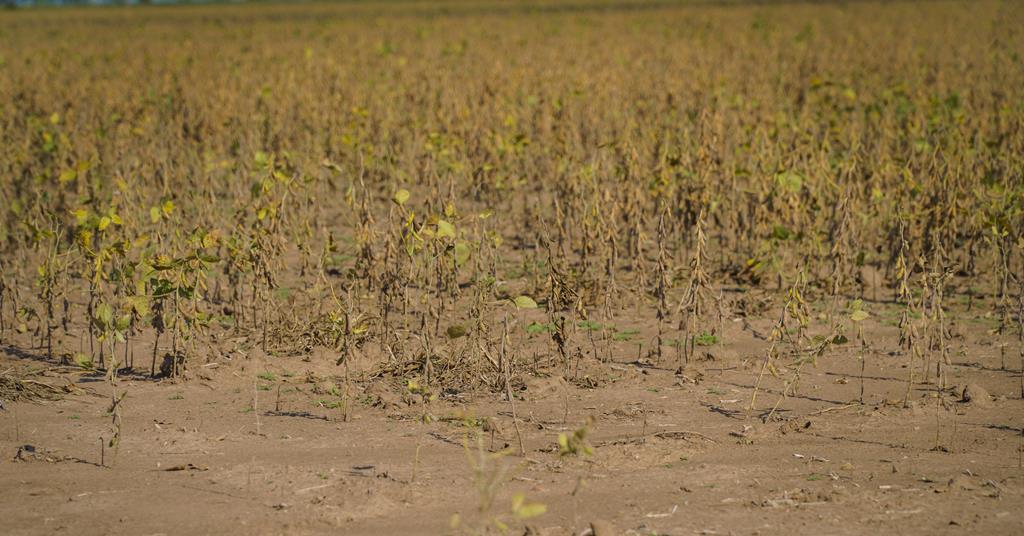 Defra sets out healthier food and greener supply chain plan | The Grocer