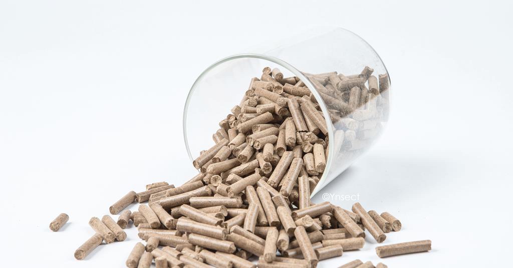 Insect protein startup raises $372m to fund world’s largest insect farm ...