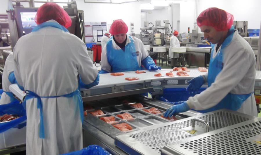 Sofina Foods proposes Young’s Seafood Grimsby factory closure | News ...