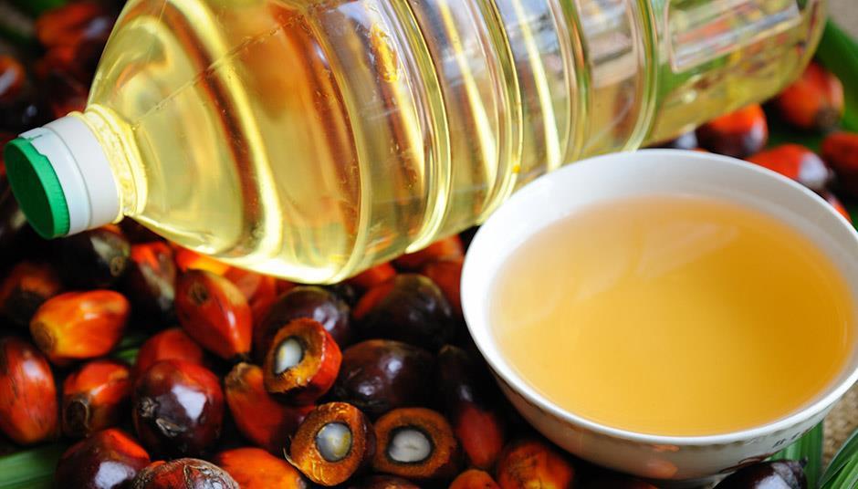 Unilever, Nestlé and more defend against accusations of palm oil ...