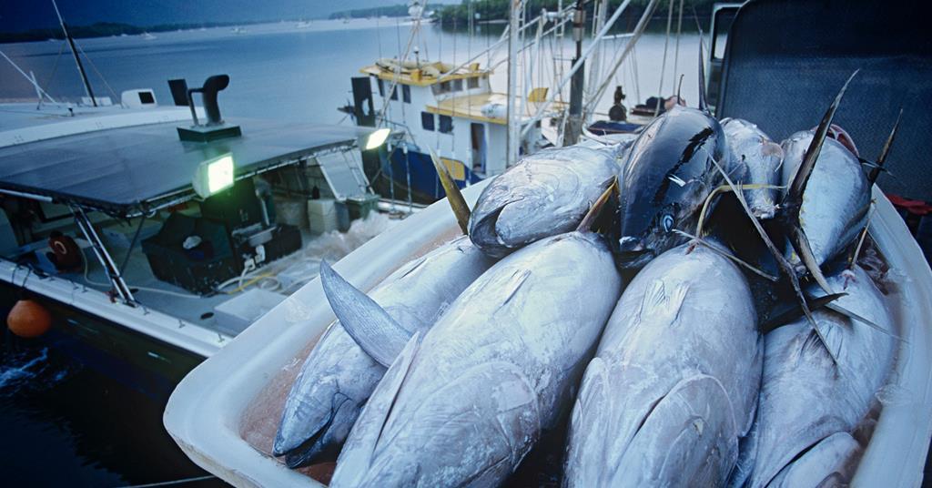 Sustainable tuna sales growing despite cost of living crisis | The Grocer