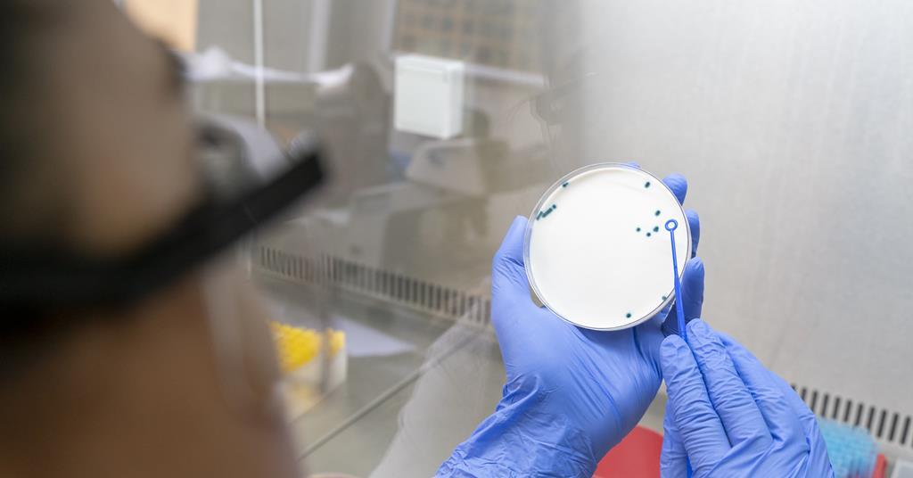 One death due to e.coli infection, UKHSA confirms | The Grocer