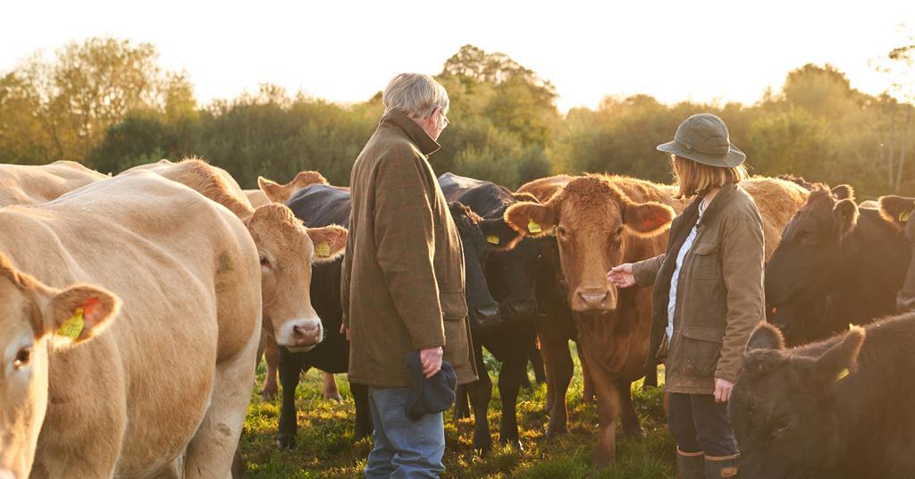 Morrisons launches farmer skills project in bid to cut carbon | The Grocer