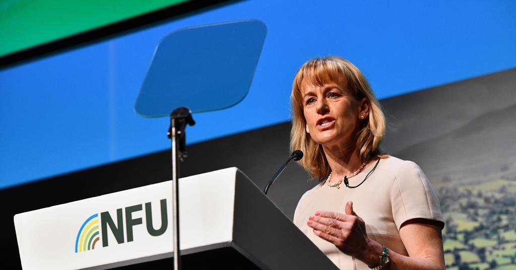 NFU president brands lower-standard post-Brexit food imports idea ...