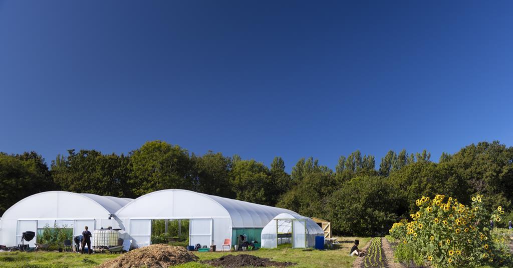 Sitopia Farm: a utopian idyll of farming… in inner London | Analysis ...