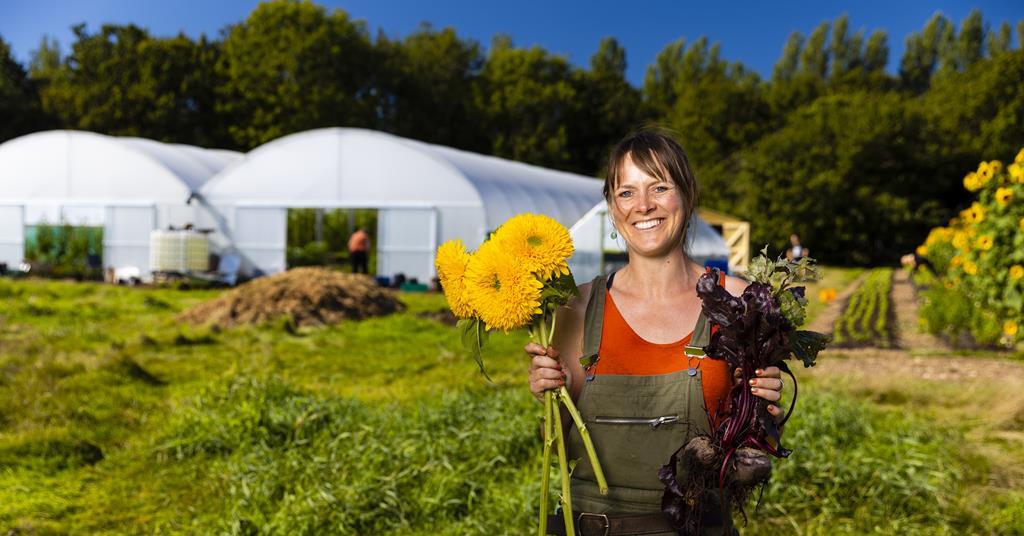 Sitopia Farm: a utopian idyll of farming… in inner London | Analysis ...