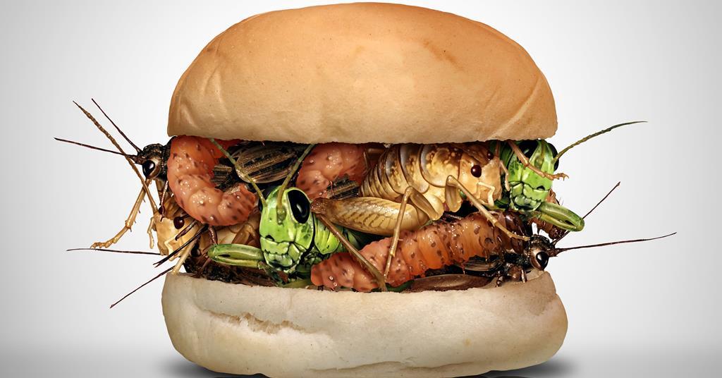 Crickets, critics and comebacks: Why insect food isn’t done yet | The ...