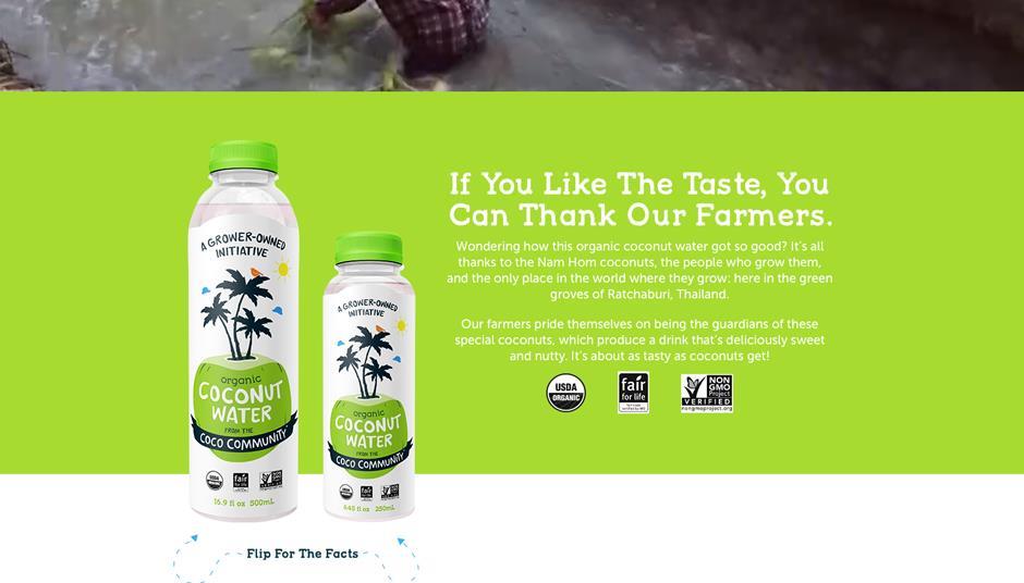 Vita Coco owner to bring new premium coconut water to UK | News | The ...